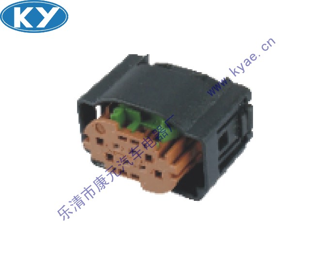 DJK7081-0.6-21 - Yueqing KangYuan Automobile Electric Factory